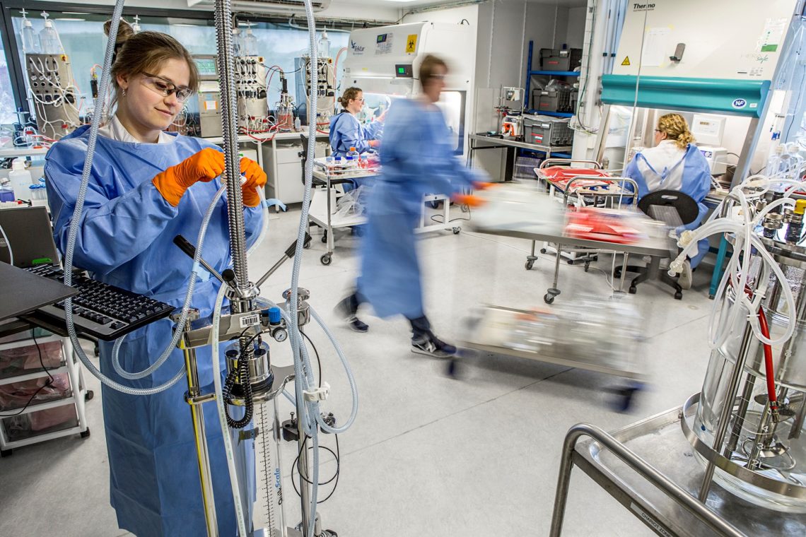 Mieux comprendre la thérapie génique - France Assos Santé